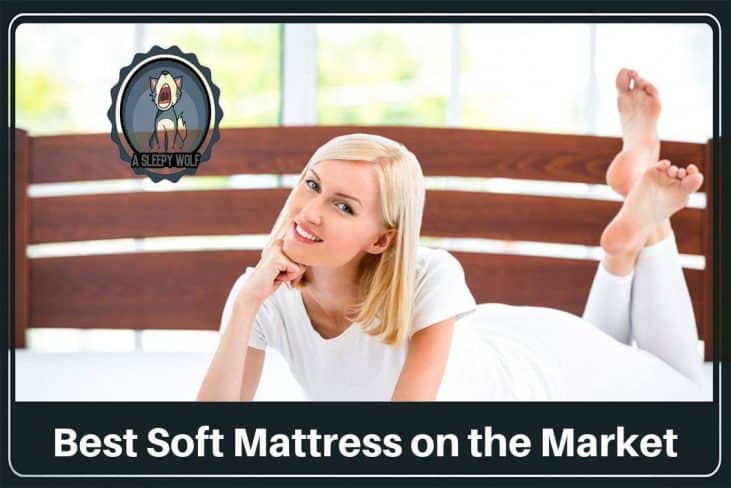 Best Soft Mattress 2019: Top 5 Rated Plush Beds Reviews and Ratings