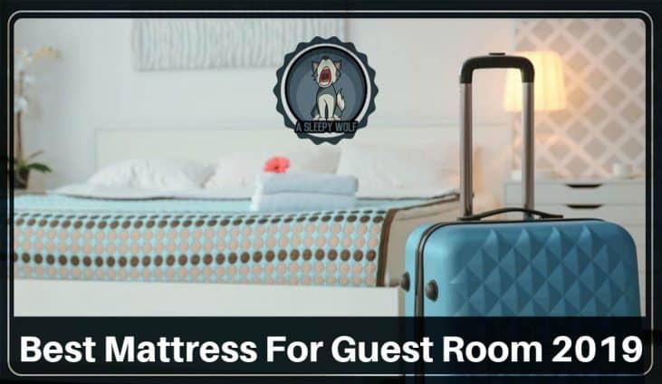Best Mattress For Guest Room: Top 5 Plush Choices for Your Guest 2019