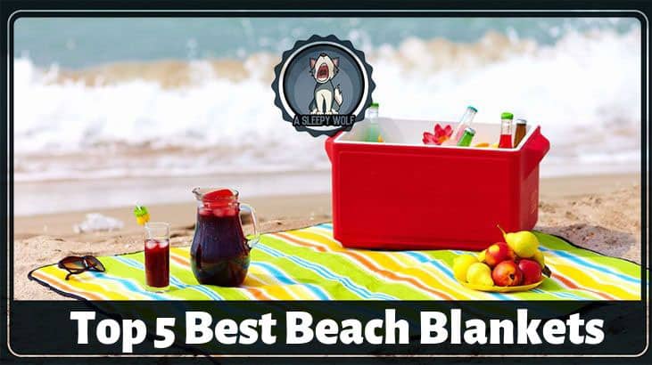 Best Beach Blanket Reviews 2019: Top 5 Rated Beach Mats for Summer